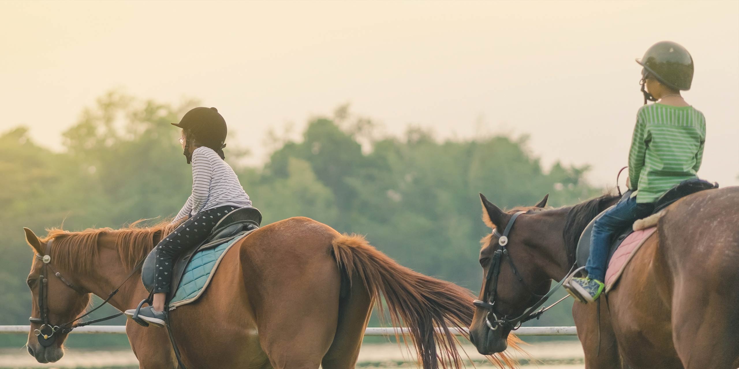 All-Inclusive Family Resort – Rayburn Resort